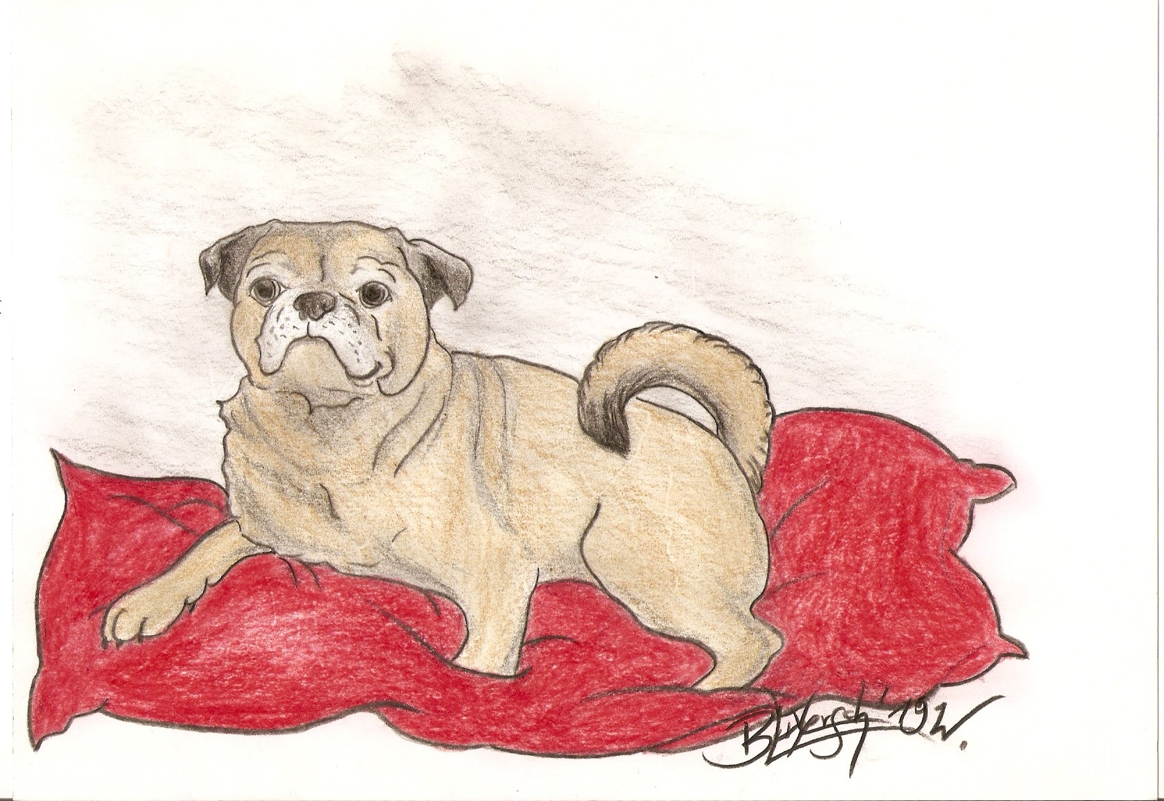 Skizze Mops | RabenfederBerlin